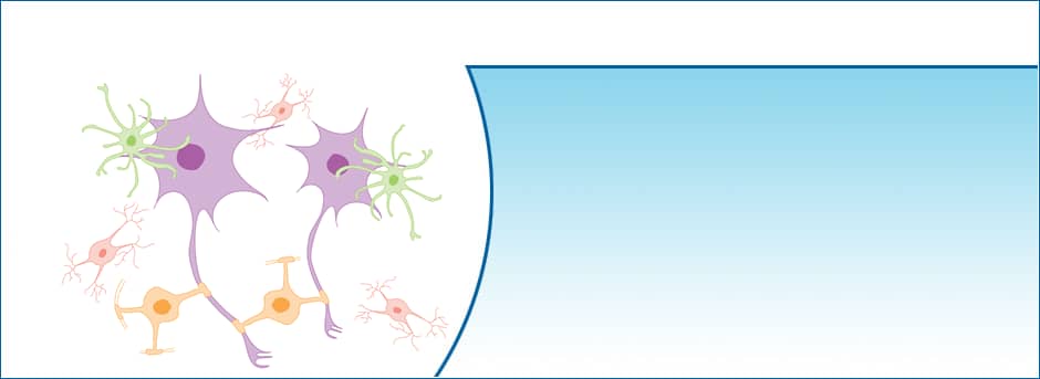 Antibodies, Kits, Proteins and Research Reagents: Novus Biologicals