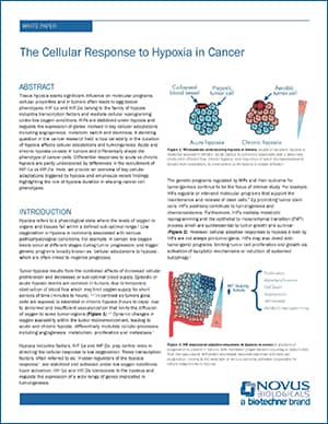 The Cellular Response to Hypoxia in Cancer White paper