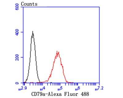 CD79A Antibody (JE43-50) (NBP2-80443): Novus Biologicals