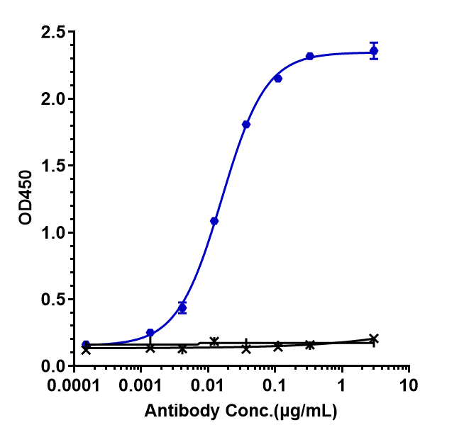 CD3/CD20 (Epcoritamab) Antibody - Azide and BSA Free (NBP3-44563 ...