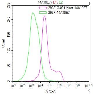 G4S linker Antibody (14A10E7) (NBP3-49429): Novus Biologicals