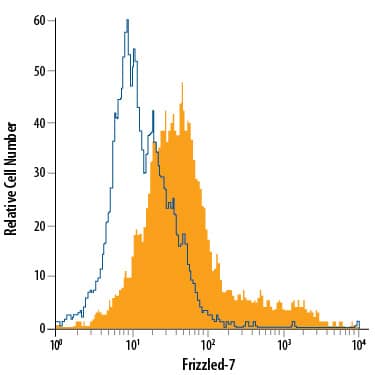 Frizzled-7 Antibody (151143) [Phycoerythrin] (FAB1981P): Novus Biologicals
