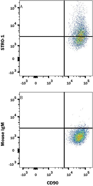STRO-1 Antibody (STRO-1) [Alexa Fluor® 647] (FAB1038R): Novus Biologicals