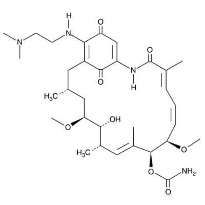 17-DMAG (NB110-81562): Novus Biologicals