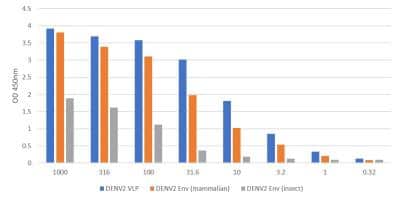 Dengue Virus 2 VLP/Envelope Antibody (ME1.G6.C12) - Azide and BSA Free ...