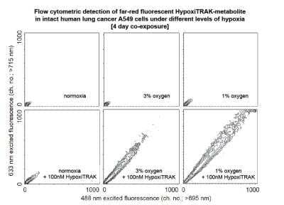 HypoxiTRAK(TM) (NBP3-18531): Novus Biologicals