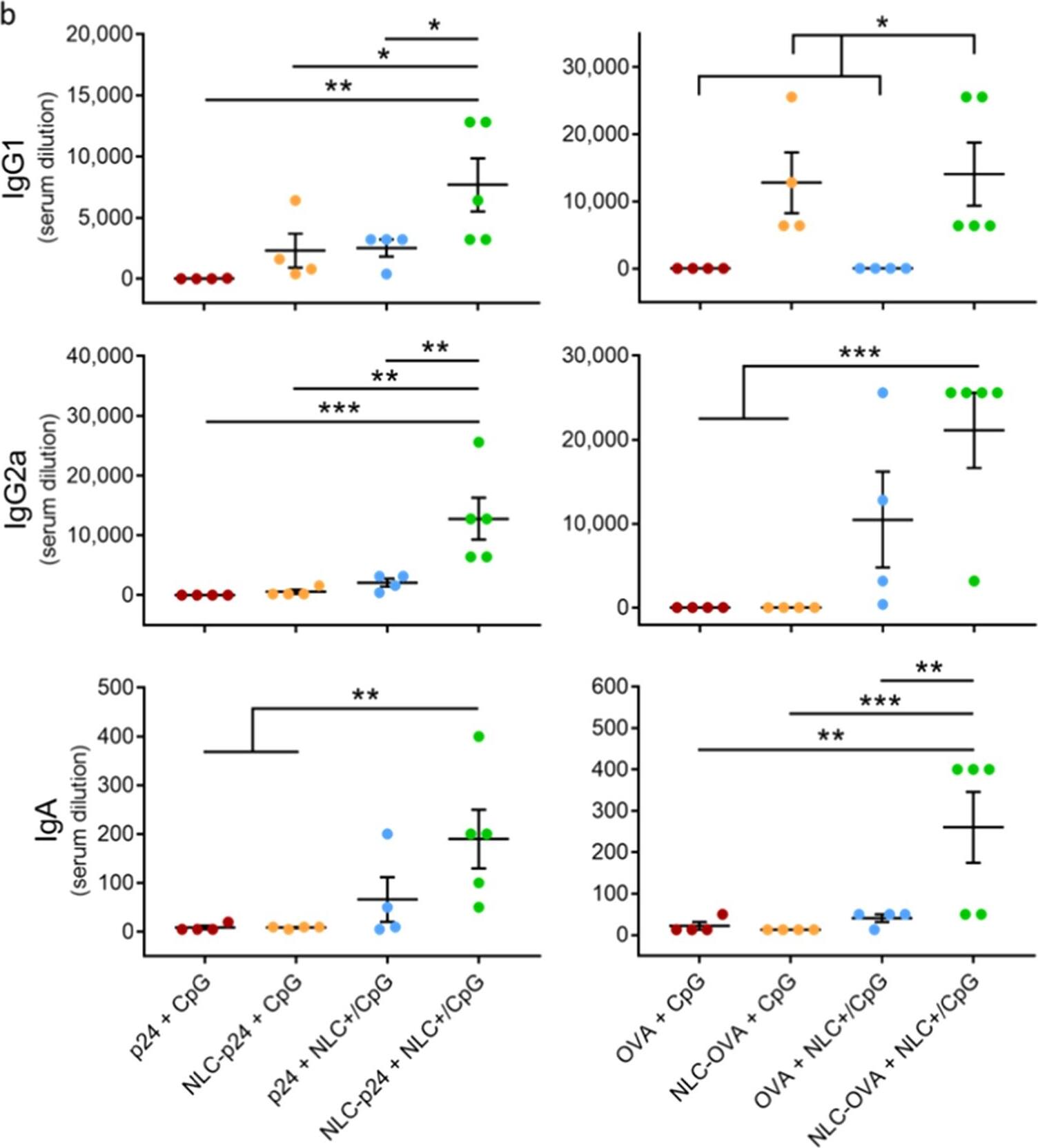 Mouse IgA Antibodies: Novus Biologicals