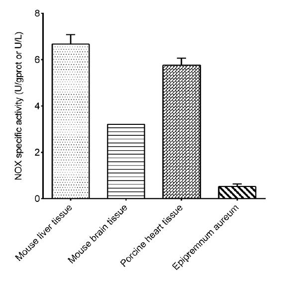 NADH Oxidase/NOX Activity Assay Kit (Colorimetric) (NBP3-25867): Novus ...
