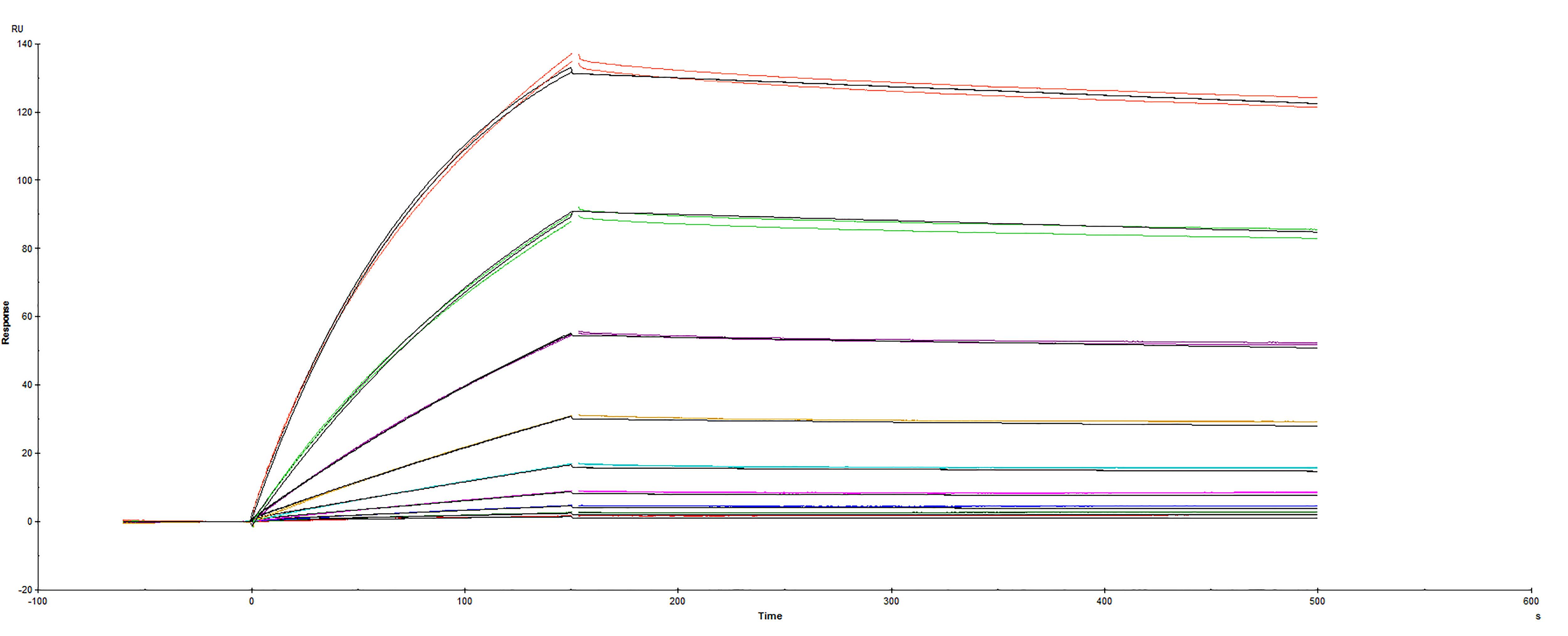 Recombinant SARS-CoV-2 Spike RBD His-tag Protein, CF (10534-CV): Novus ...