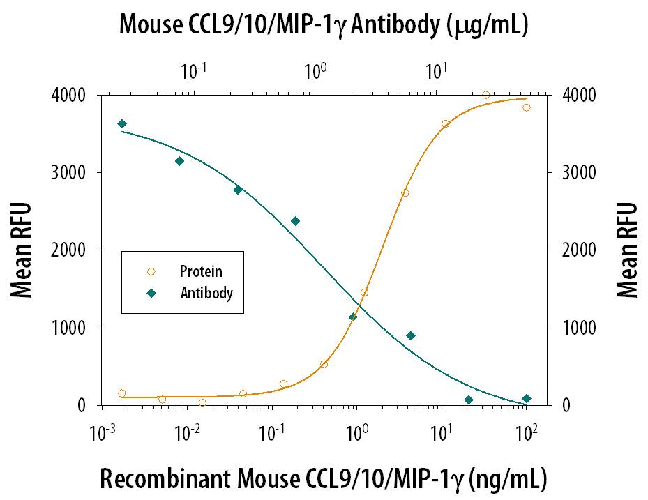 CCL9/10/MIP-1 gamma Antibody (62105) (MAB463): Novus Biologicals