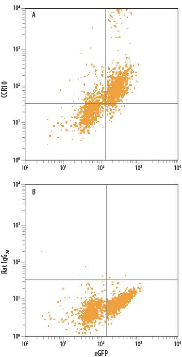 CCR10/GPR2 Antibody (314305) [PerCP (Peridinin-chlorophyll Protein ...