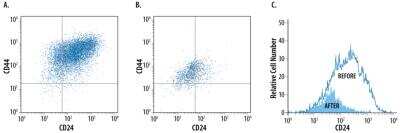 CD24- CD44+ Breast Cancer Stem Cell Isolation Kit (MAGH111-NOV): Novus ...