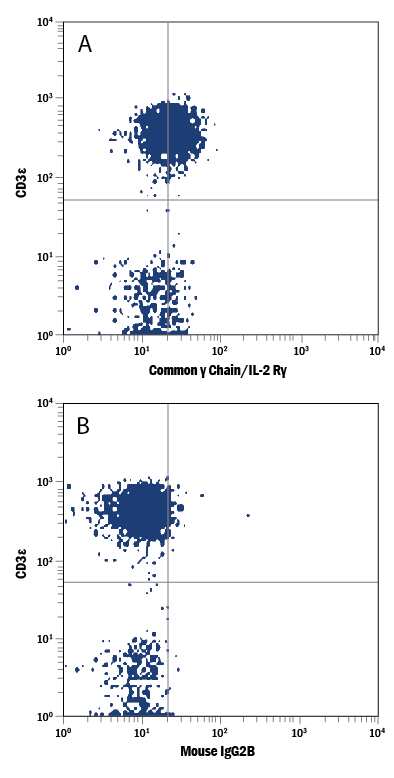 Common gamma Chain/IL-2 R gamma Antibody (633162) [Fluorescein ...
