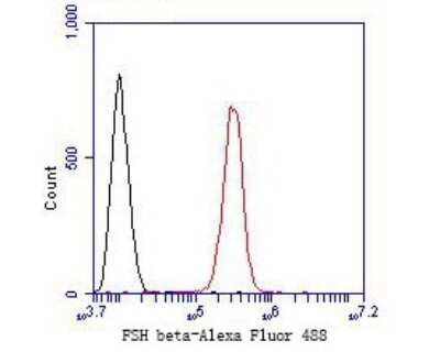 FSH beta Antibody (NBP2-80459): Novus Biologicals