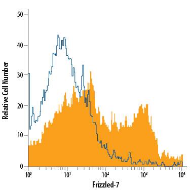 Frizzled-7 Antibody (151143) [Phycoerythrin] (FAB1981P): Novus Biologicals