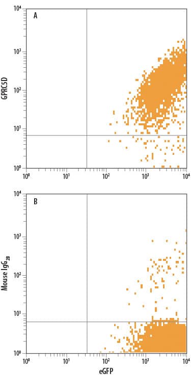 GPRC5D Antibody (571961) [Allophycocyanin] (FAB6300A): Novus Biologicals