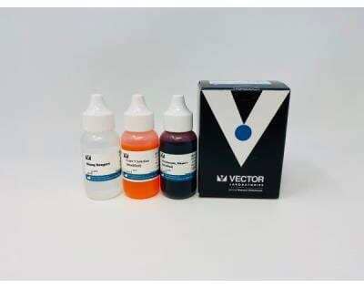 Hematoxylin and Eosin Stain Kit (H-3502-NB): Novus Biologicals