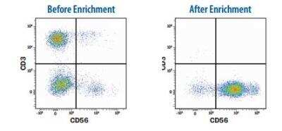 Human NK Cell Isolation Kit (MAGH109-NOV): Novus Biologicals
