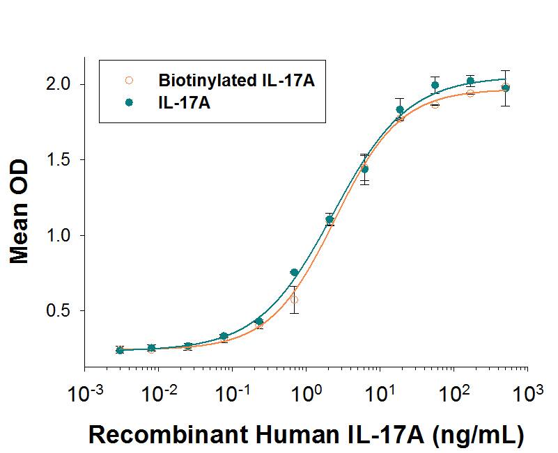 Recombinant Human IL-17A, Biotinylated Protein, CF (BT7955/CF): Novus Biologicals