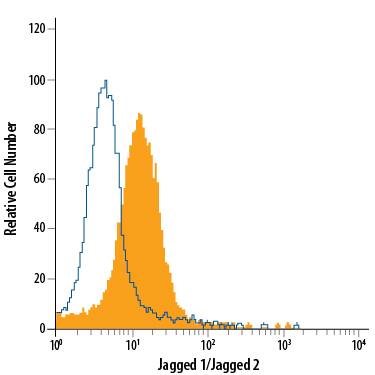Jagged 1/Jagged 2 Antibody (241002) [Phycoerythrin] (FAB1726P): Novus ...