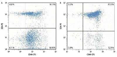 Mouse Memory CD4+ T Cell Isolation Kit (MAGM206-NOV): Novus Biologicals