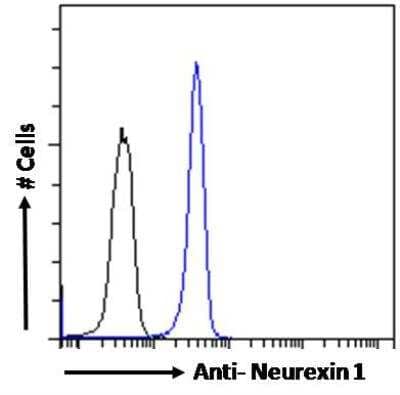 NRXN1 Antibody (NBP1-00219): Novus Biologicals