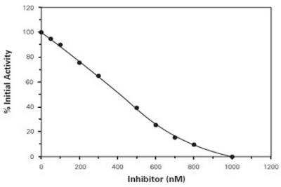 Renin Kits: Novus Biologicals