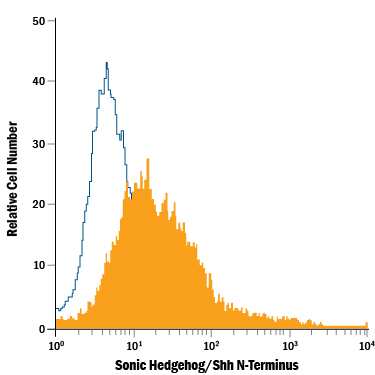 Sonic Hedgehog/Shh Antibody (171018) [Phycoerythrin] - N-Terminus ...