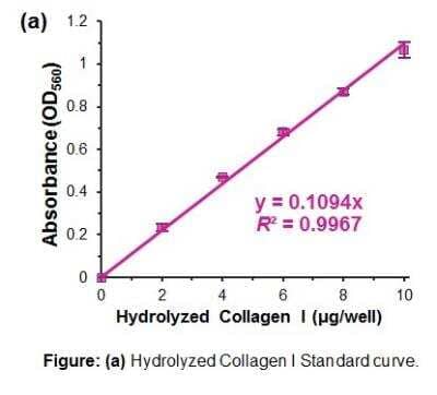 Hydroxyproline Assay