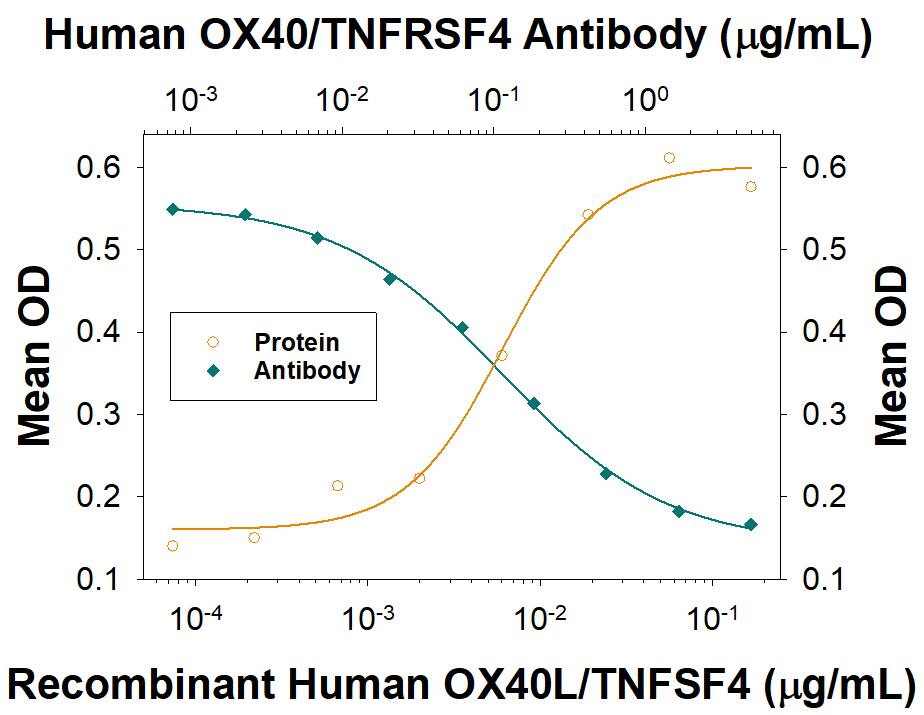 OX40/TNFRSF4 Antibody (2553D) [Unconjugated] (MAB10563): Novus Biologicals