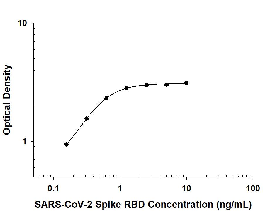Spike RBD Antibody (1035740) [Unconjugated] (MAB105807): Novus Biologicals