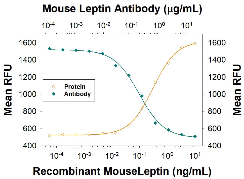 Leptin/OB Antibody (2299A) [Unconjugated] (MAB4981): Novus Biologicals